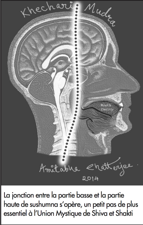 FIDHY info 77: Khecari mudra - Khecari Devi